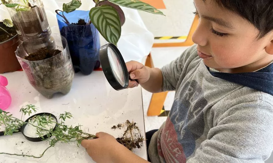 PIPE, el programa para la educación científica preescolar que impulsan ...